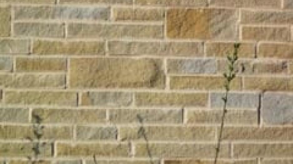 Architectural walling range launch by Forest Pennant | Stone Specialist